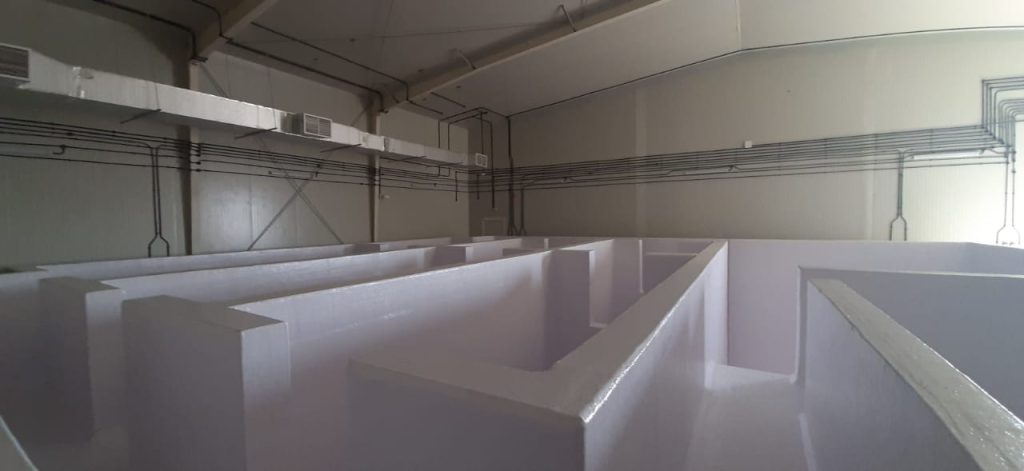 GRP Lining – Roof Secure